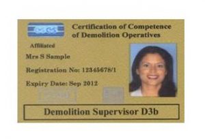 CARDURI CCDO GOLD CARD - CSCS, NVQ - CURSURI, CSCS CARD, CCDO CARD ...